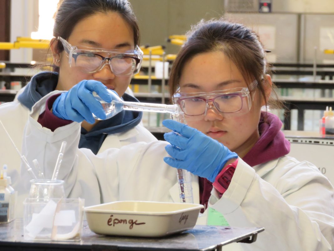 International - ENSCR